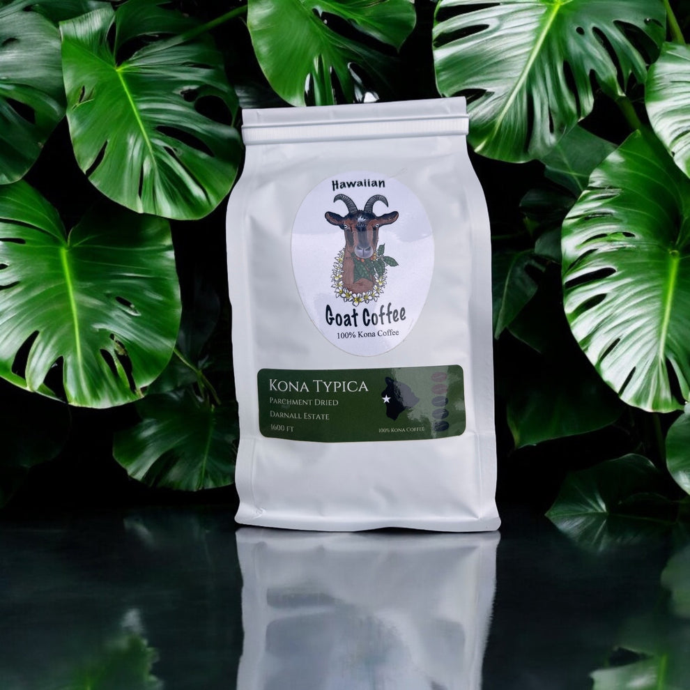 Classic Kona Typica - Parchment Dried - Prime, Medium Roast – Hawaiian ...